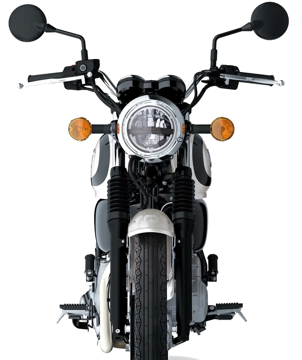 Kawasaki W230 - Real Motosports